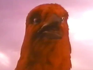 Red Crow and the Ghost Ship | Muppet Wiki | Fandom