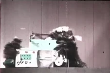 IBM | Muppet Wiki | Fandom