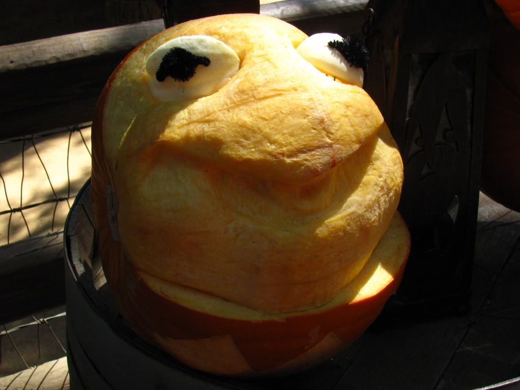 Disneyland | Muppet Wiki | Fandom