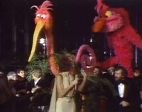 Jim Henson cameos | Muppet Wiki | Fandom