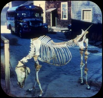 Scenes from Jim Henson's Muppet Movie | Muppet Wiki | Fandom