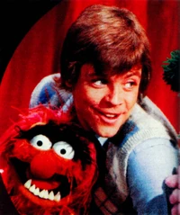 Episode 417: Star Wars | Muppet Wiki | Fandom