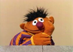 Ernie Through the Years | Muppet Wiki | Fandom