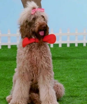 Floodle | Muppet Wiki | Fandom