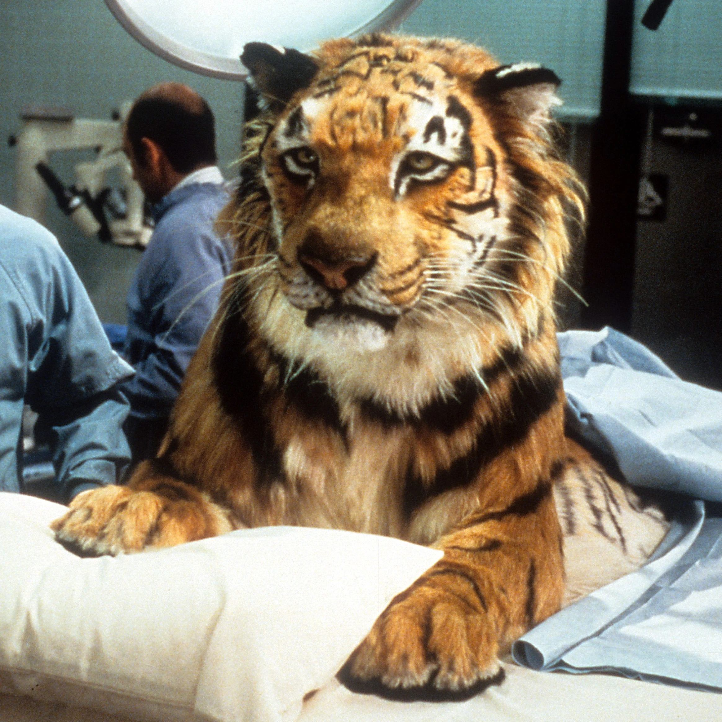 Jake (Dr. Dolittle) | Muppet Wiki | Fandom