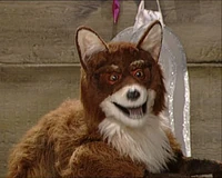 Foxes | Muppet Wiki | Fandom