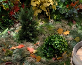 Shrub and Sapling | Muppet Wiki | Fandom