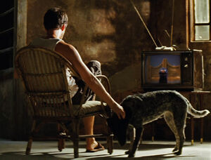 The Incredible Hulk | Muppet Wiki | Fandom