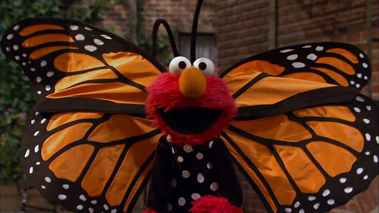 Episode 4185 Muppet Wiki