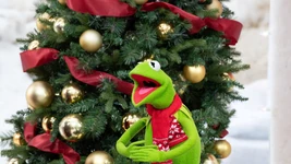 Best in Snow | Muppet Wiki | Fandom