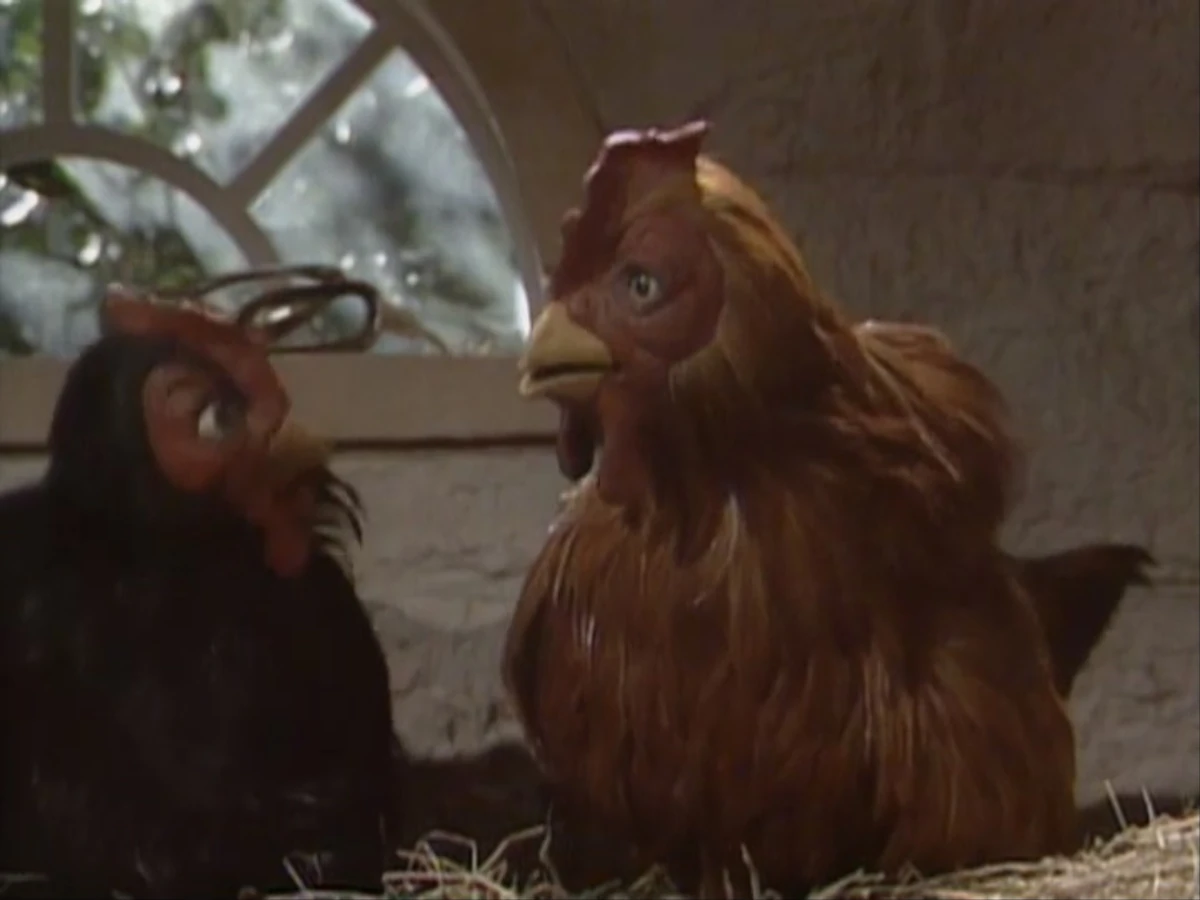 Hens (Mother Goose Stories) | Muppet Wiki | Fandom