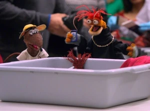 BlackBerry | Muppet Wiki | Fandom