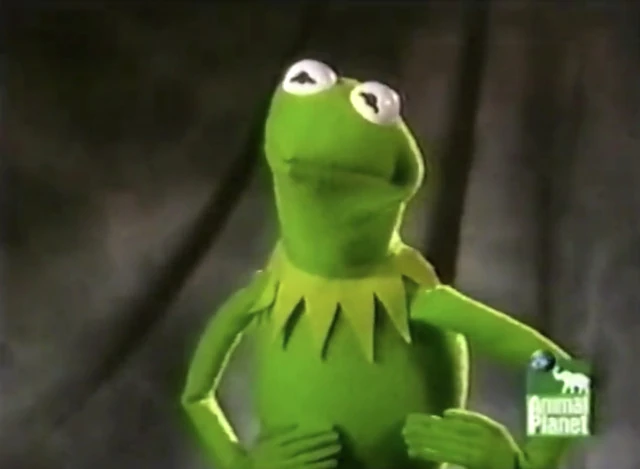 Animal Planet's 50 Greatest Movie Animals | Muppet Wiki | Fandom