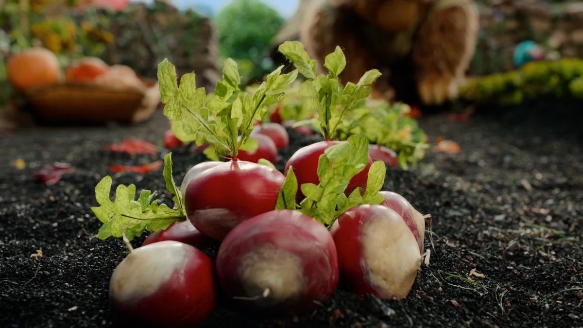 Radishes | Muppet Wiki | Fandom