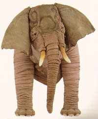 Elephants | Muppet Wiki | Fandom