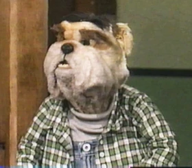 Bruno (Dog City) | Muppet Wiki | Fandom