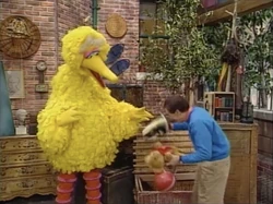 Episode 3517 | Muppet Wiki | Fandom