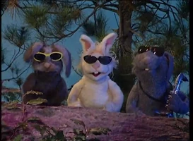 The Animal Band | Muppet Wiki | Fandom