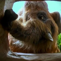 Sandbox:Proboscis-bearing characters | Muppet Wiki | Fandom