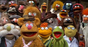 Muppet eyes | Muppet Wiki | Fandom