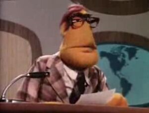 The Newsman | Muppet Wiki | Fandom