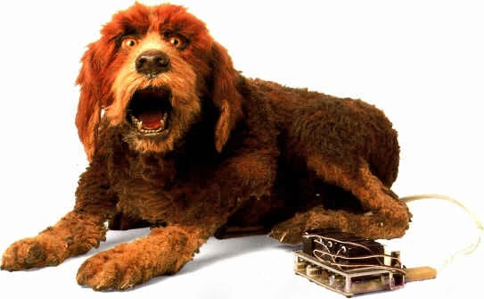 Dog (The StoryTeller) | Muppet Wiki | Fandom