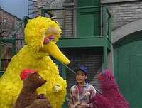 Baseball | Muppet Wiki | Fandom