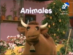 Episodio 1053 | Muppet Wiki | Fandom