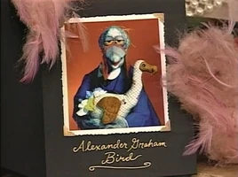 Big Bird's family | Muppet Wiki | Fandom