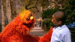 Episode 4164 | Muppet Wiki | Fandom