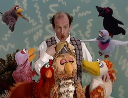 Elmo's World: Birds | Muppet Wiki | Fandom