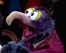 Gonzo Through the Years | Muppet Wiki | Fandom