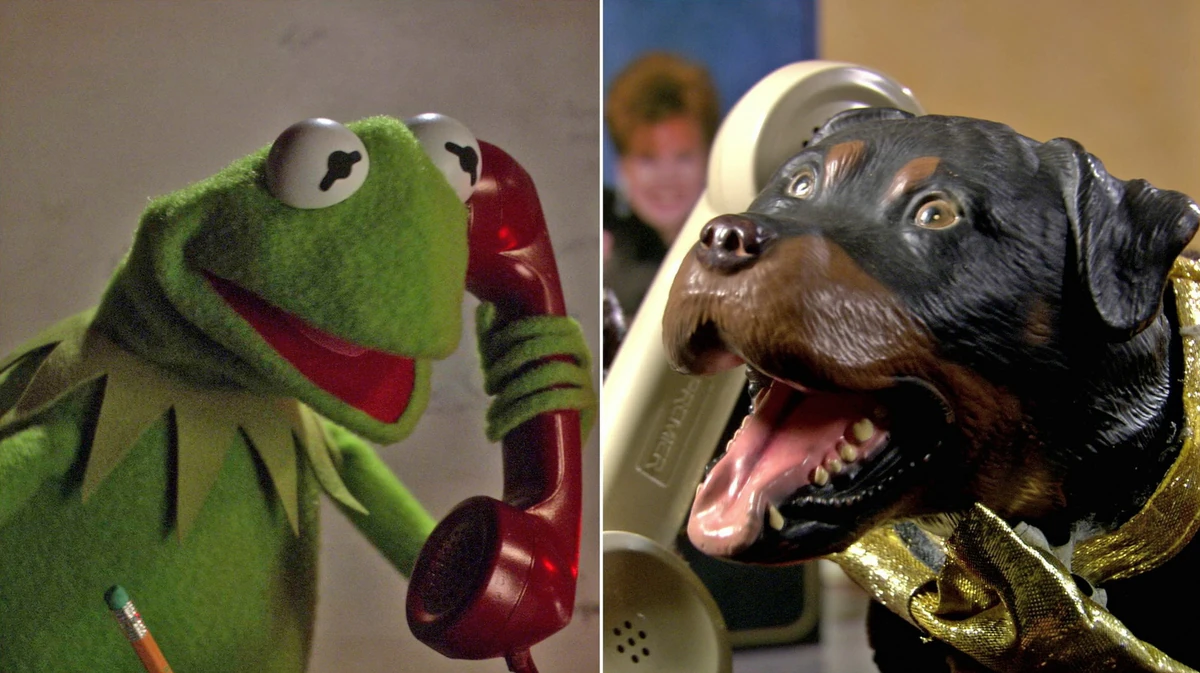 Triumph, the Insult Comic Dog | Muppet Wiki | Fandom