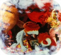 Fraggle Rock View-Master reels | Muppet Wiki | Fandom