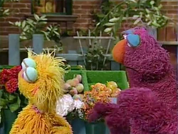 Episode 3885 | Muppet Wiki | Fandom