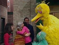 Episode 3919 | Muppet Wiki | Fandom