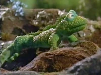 Lizards | Muppet Wiki | Fandom