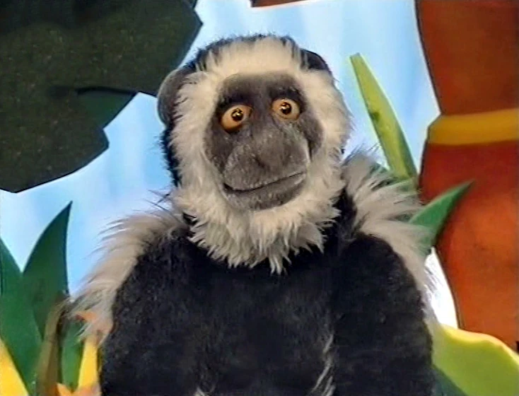Cody the Colobus Monkey | Muppet Wiki | Fandom
