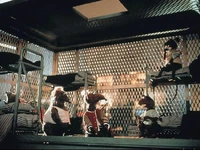 Prisons | Muppet Wiki | Fandom