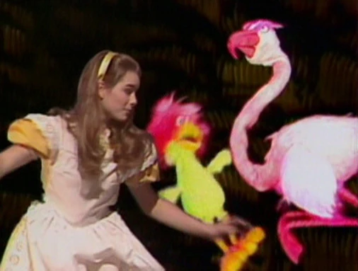 Flamingos | Muppet Wiki | Fandom