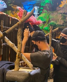 Repeatee Birds (species) | Muppet Wiki | Fandom