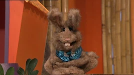 Sandbox:Bambaloo characters | Muppet Wiki | Fandom