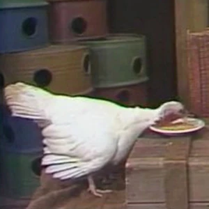 Cousin Tom | Muppet Wiki | Fandom