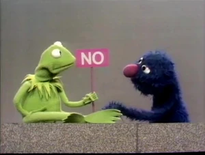 Teaching Grover YES and NO (transcript) | Muppet Wiki | Fandom