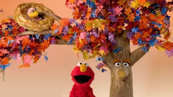 My Elmo: Habitats | Muppet Wiki | Fandom