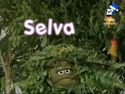 Episodio 1048 | Muppet Wiki | Fandom