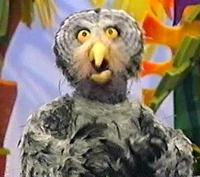 Owls | Muppet Wiki | Fandom