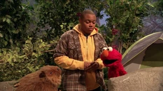 Morton the Beaver | Muppet Wiki | Fandom