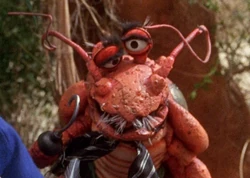 Muppets who go cross-eyed | Muppet Wiki | Fandom