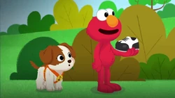 My Elmo: Shoes | Muppet Wiki | Fandom